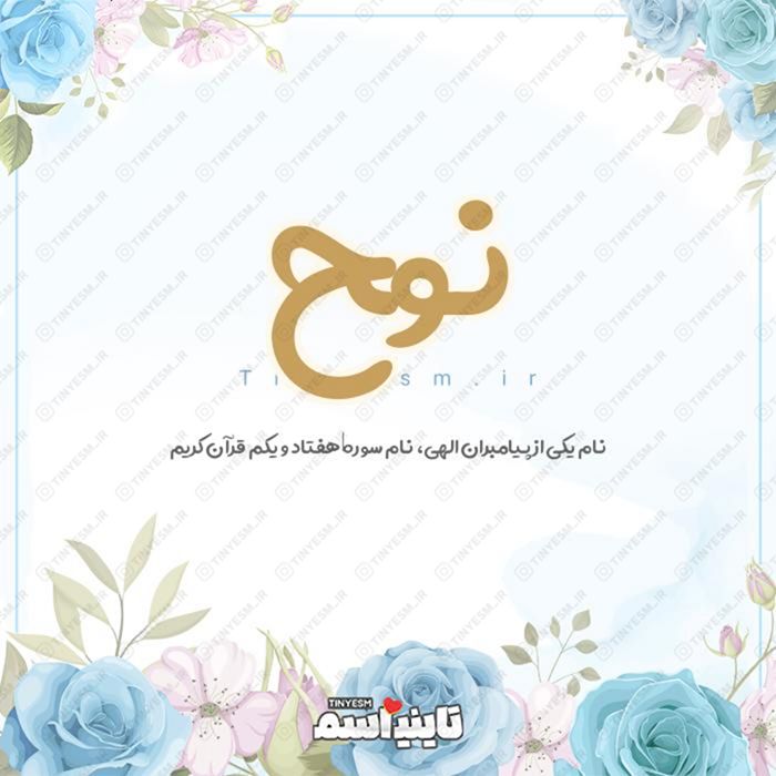 معنی اسم نوح | حروف ابجد و ریشه نوح + طالع بینی نام نوح - تاینی اسم